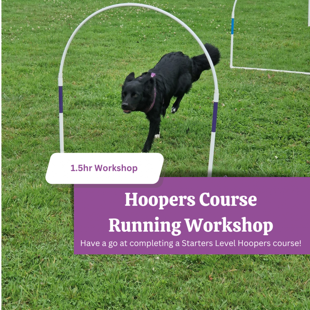 Hoopers Course Running Workshop - Mischief Managed Pet Training & Canicross