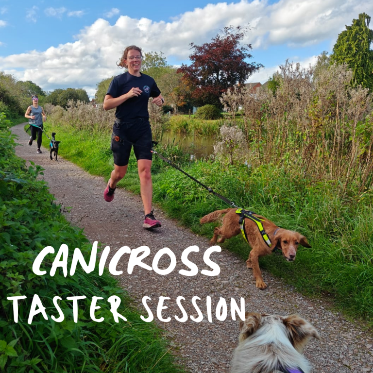 Canicross Taster Session - Mischief Managed Pet Training & Canicross