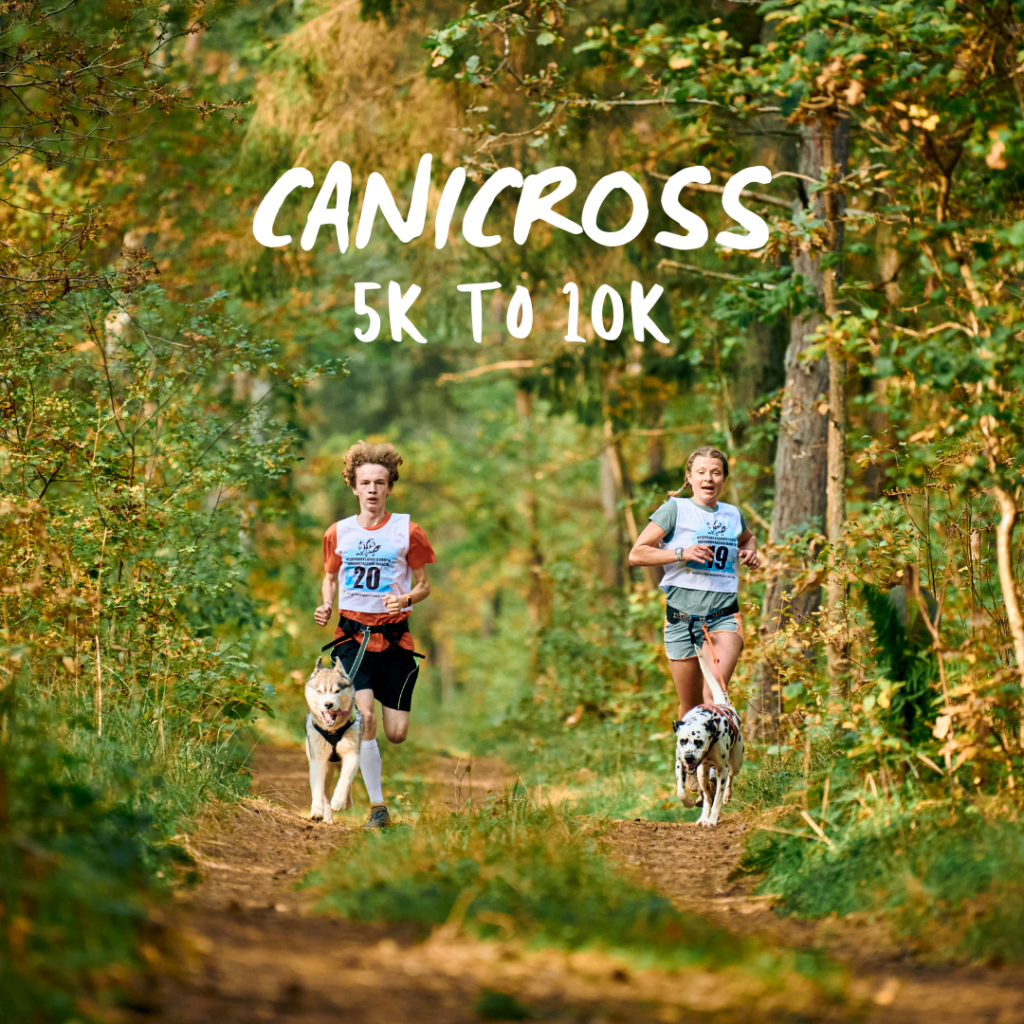 Canicross 5k to 10k Running Course - Mischief Managed Pet Training & Canicross
